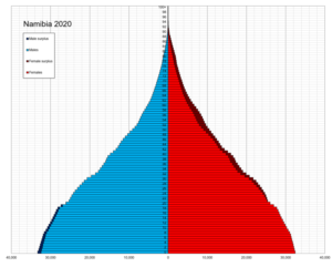 Understanding Namibia’s Population Pyramid: Trends and Challenges ...