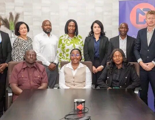 Namibia's President Nandi-Ndaitwah Overhauls Cabinet, Appoints New ...